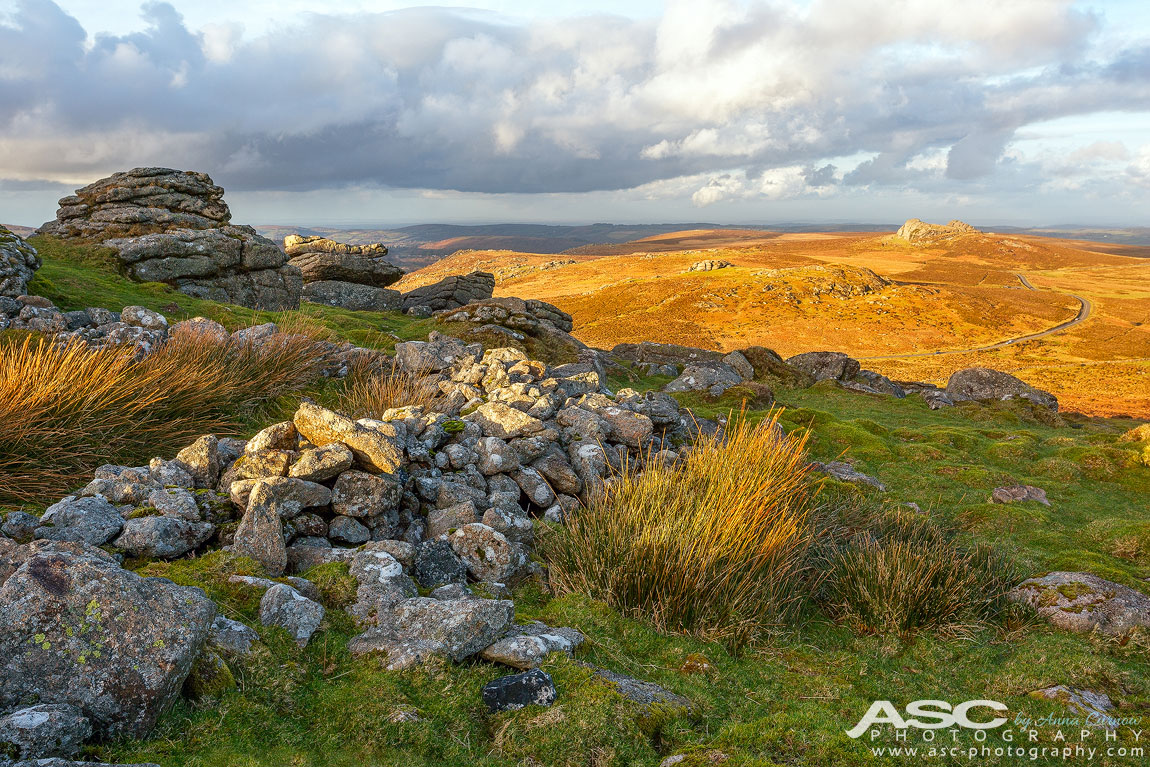 Rippon Tor - ASC Photography